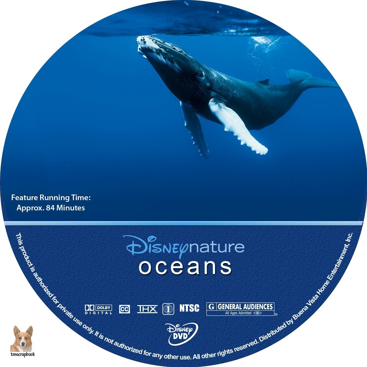 DisneyNature Collection 7 disc set 2007 R1 Cover labels 6 | DVD Covers ...